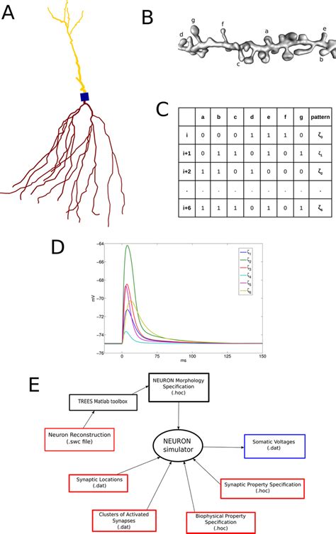 The Computational Approach Proposed In The Work A A Representation Download Scientific