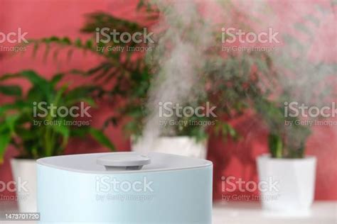 초음파 가습기는 차가운 증기를 방출합니다 건조한 공기에서 식물의 관리 및 수분 공급 에센셜 오일에 대한 스톡 사진 및 기타 이미지 에센셜 오일 아로마오일 램프 가정의