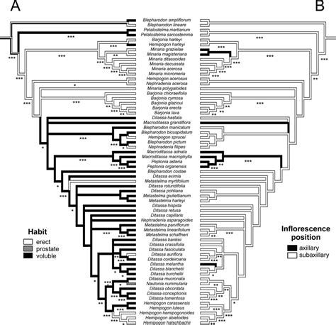 Parsimony Reconstruction Of A Habit And B Inflorescence Position On