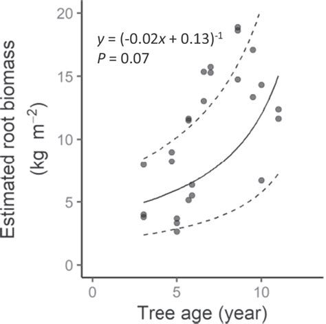 relationship between tree age and estimated root biomass points download scientific diagram