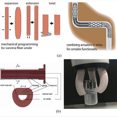 Different Tendon Driven Forms A The Axis Pulls The Finger And Bends