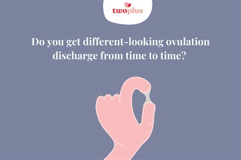 Ovulation Cervical Mucus What Does Cervical Mucus Look Like After