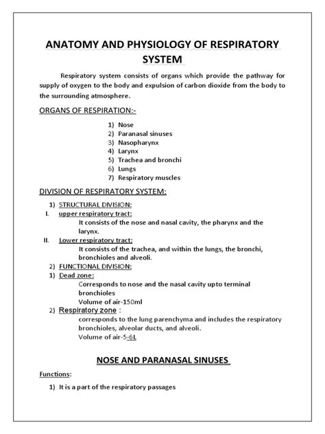 Anatomy And Physiology Of Respiratory System Pdf Respiratory Tract