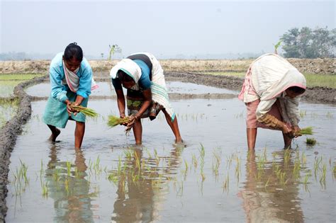 Empowering Women In Indias Informal Sector The Borgen Project