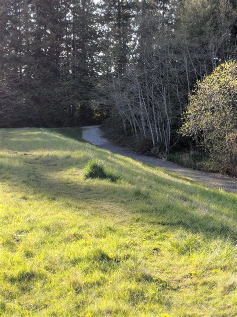 Grassy Plane By Hammingham On Deviantart