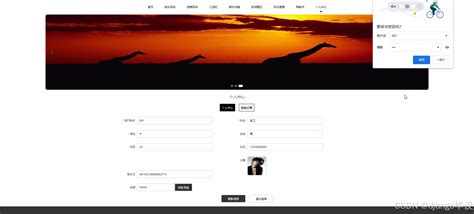 计算机毕业设计django vue基于的长隆欢乐世界购票平台【开题 论文 程序】 csdn博客