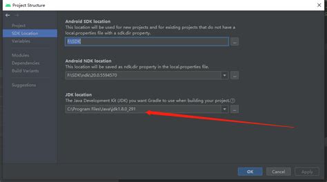 could not determine java version from 11 0 8 the project uses gradle