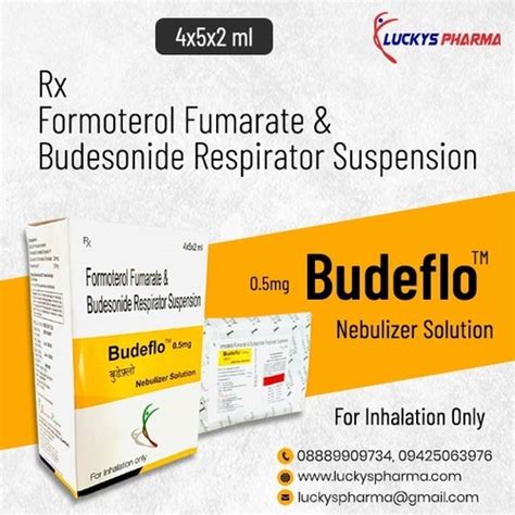 Budesonide Formoterol Nebulizer Solution General Medicines At Best Price In Indore Luckys