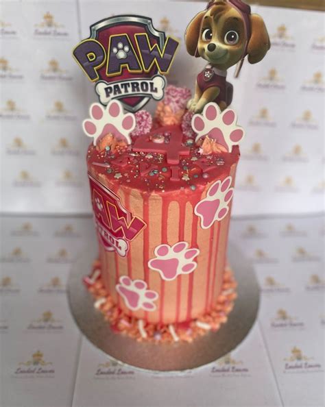 Paw Patrol Skye Celebration Cake