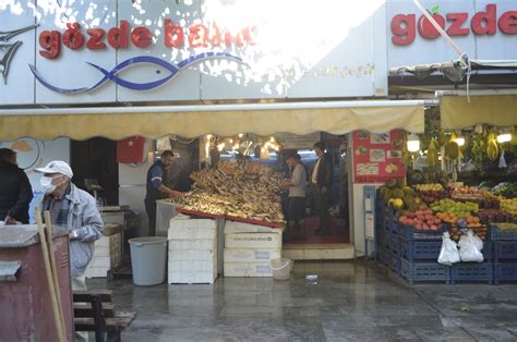 Dsc Copy Hosted At Imgbb Imgbb