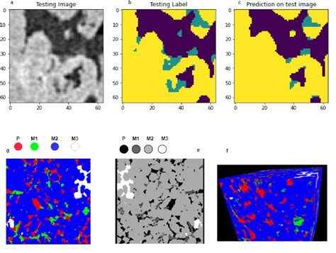 Figure 3 From Deep Learning Based Segmentation Of 3d Volumetric Image And Microstructural