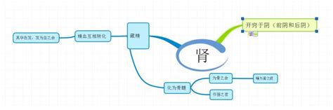 中医五脏各自作用思维导图赏析 豌豆ip代理