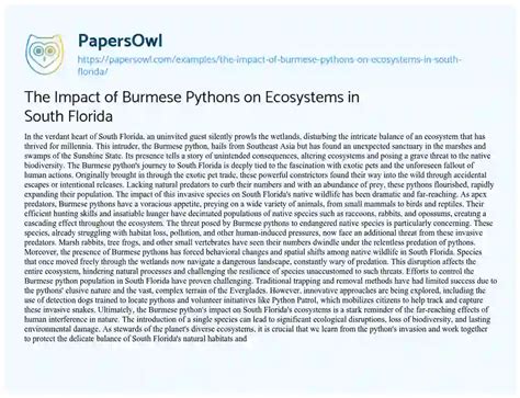 The Impact Of Burmese Pythons On Ecosystems In South Florida Free Essay Example 450 Words