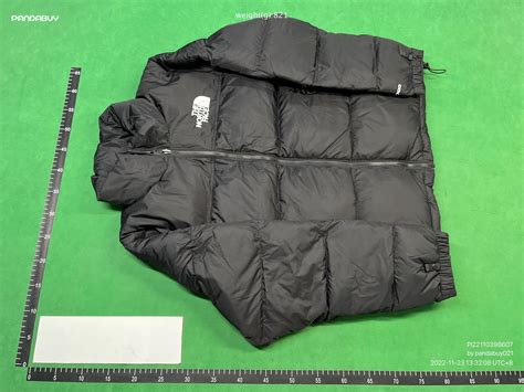 🎅christmas Haul 6 Kg🎅 Chicago Dunks Birkenstock Bostons Varsity Green