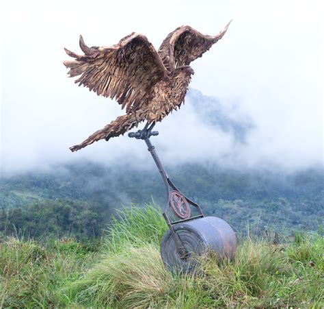 Roller Kite Niviuk Roller 2 Eagle Paragliding