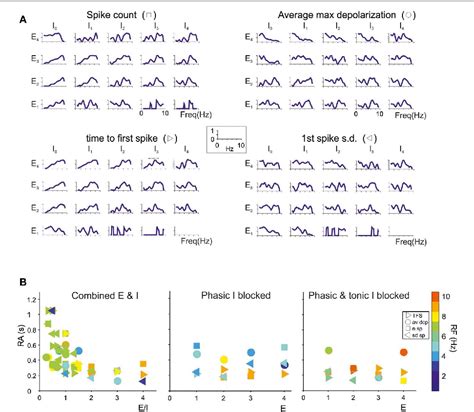 Figure 7 From Theta Frequency Resonance At The Cerebellum Input Stage Improves Spike Timing On