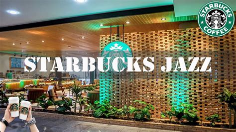 스타벅스 Bgm 11월 최고의 스타벅스 노래 듣기 따스한 공간을 위한 스타벅스 커피숍 음악 매일 아침 일과 공부에 집중할 수 있는 편안한 재즈 음악을 들으며 일어나