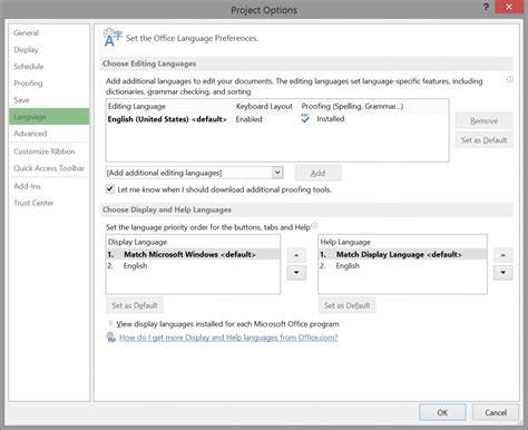 default project options in microsoft project 2013 epma insights