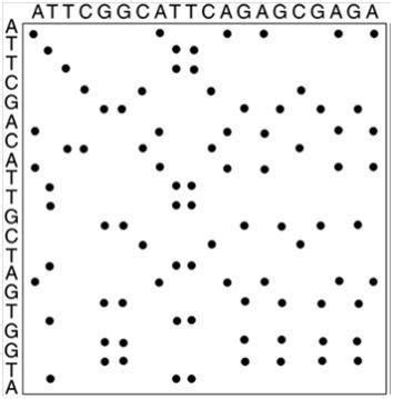 Dot Matrix Pairwise Alignment B Bayesian Method For Sequence Alignment Download Scientific