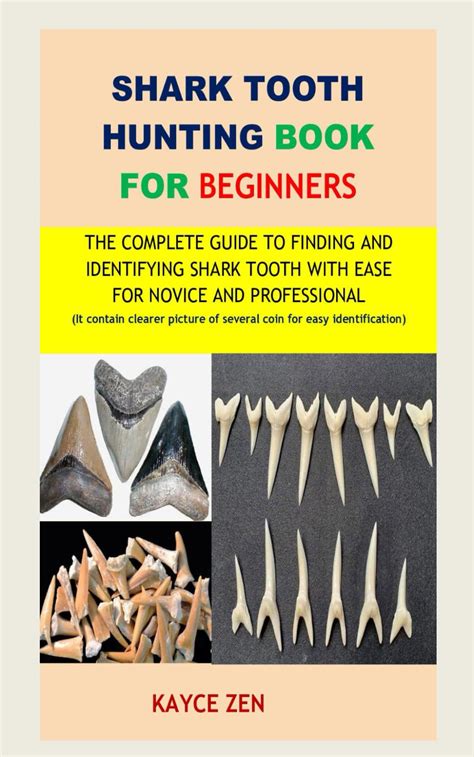 Identifying Shark Teeth Shark Tooth Identification Guide Medium