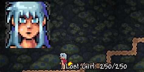 Rarest Drops You Need To Collect In Terraria