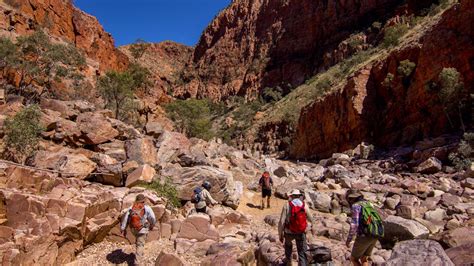 Larapinta Trail Things To Do In Alice Springs