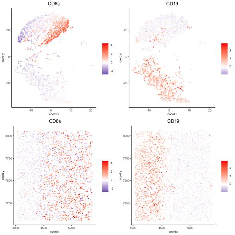 Codex Mouse Spleen • Giotto