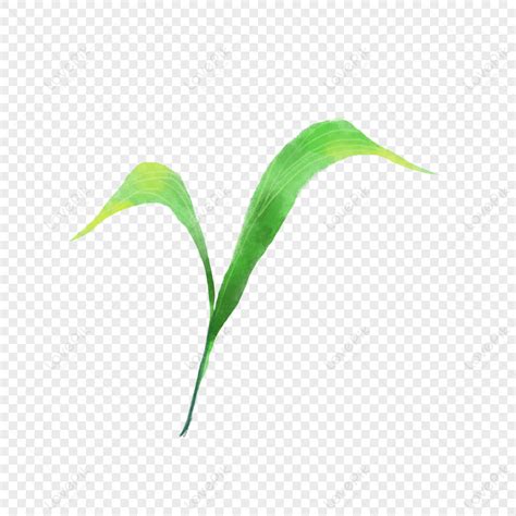 귀여운 일러스트 만화 가지와 나뭇잎 그림 요소 손으로 그린 푸른 잔디아름다운삽화 Png 일러스트 무료 다운로드 Lovepik