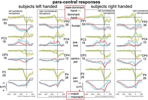 Para—central Responses In Left‐handed Lh Left Two Columns And In Download Scientific Diagram