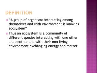 ECOSYSTEM PPT PPTX