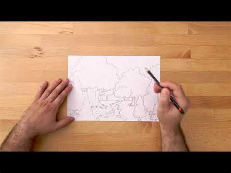 Forest Drawing Guide In Steps Beginner Friendly Video Images Included