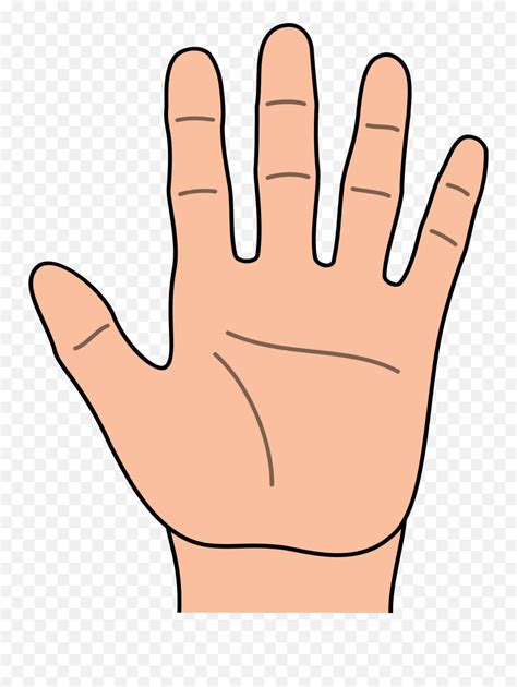 Hand Palm Clip Art Cfxq Clip Art Library Hand Clipart Pnghand Palm