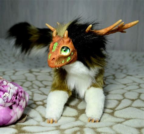 Порода собак дракон китайский 50 фото картинки Sobakovod Club