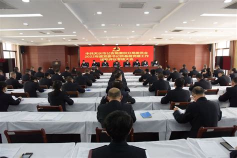 天水市公安局麦积分局召开党委书记抓基层党建工作述职评议考核大会图 天水在线