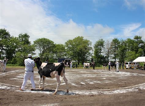 イベント Jaけねべつ