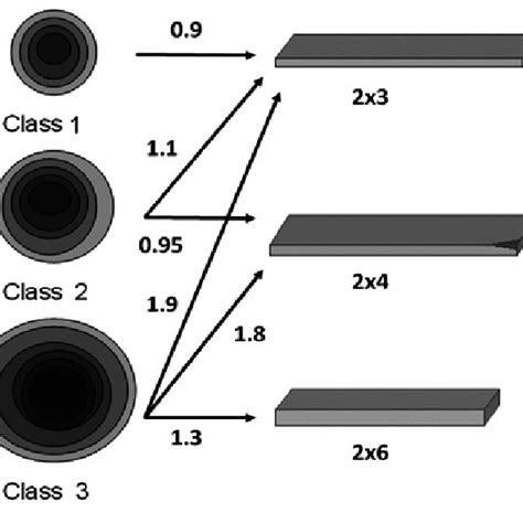 Example Of A Production Matrix Download Scientific Diagram
