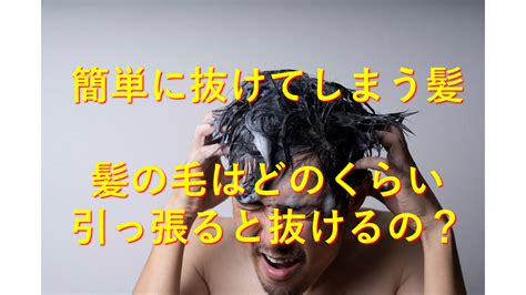 髪の毛はどの程度引っ張ると抜けるの？正常な髪と異常な髪の違いとは？