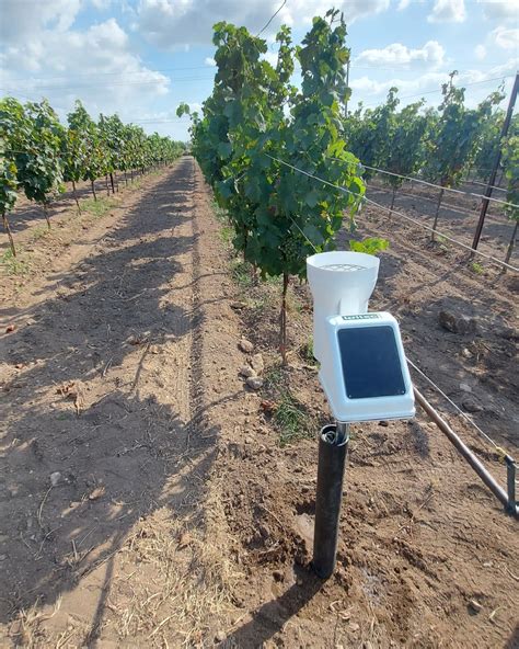 Irritec Irritec Added A New Photo