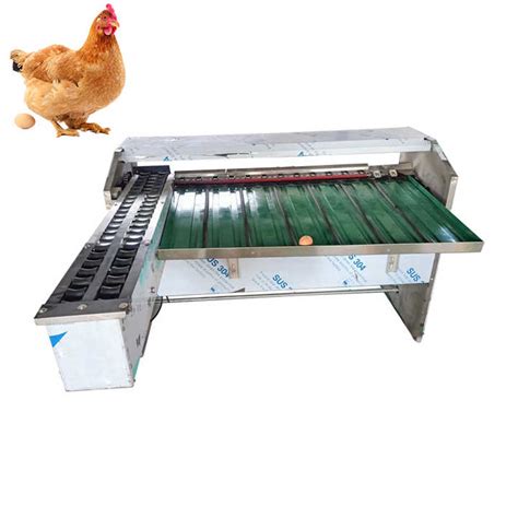 Sortinggrading Classification Simple Egg Grading Machine