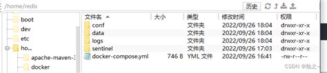 使用docker compose搭建redis sentinel集群 亲测有效 sentinel docker compose配置 csdn博客