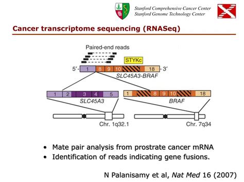Ppt An Introduction To Next Generation Sequencing Powerpoint Presentation Id1786444