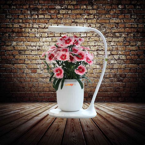 Hydroponic System Mini Indoor Hydro Garden For Fresh Greens Lanitex Hydro Garden