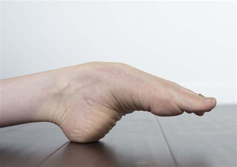 Point Plantarflexion Vs Flex Dorsiflexion Your Feet In Yoga — Lana