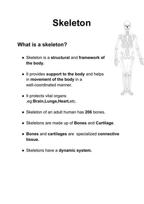 “the Human Skeleton Structure Function And Importance” Biology