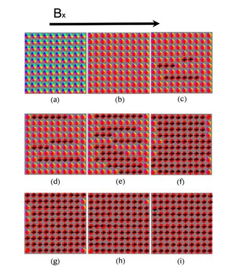 Square Arrays Of 100 Nanodisks Under An Applied Magnetic Field With K Z