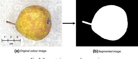 Figure 1 From Segmentation Of Colour Food Images Using A Robust Algorithm Semantic Scholar