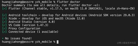 Flutter开发技巧Error connecting to the service protocol failed to connect 掘金