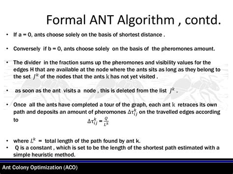 Ant Colony Algorithm