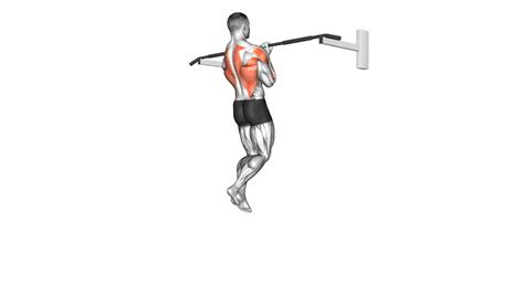 Close Grip Chin Up Ultimate Video Guide And Expert Tips