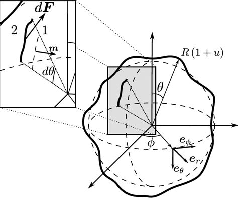 1 Parametrization In Spherical Coordinates Of A Vesicle Bold Line Download Scientific